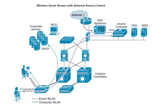 Auto-Anchor Mobility | mrn-cciew