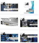 9800-Tags | mrn-cciew